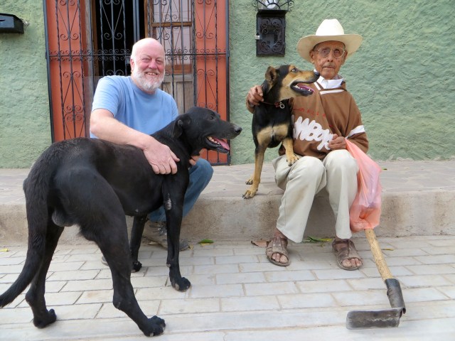 The Mexican Street Dog | saaribampo
